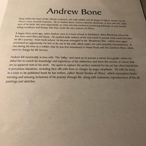 andrew bone | Wall Decor | Andrew Bone Young Warrior Picture Authentic ...